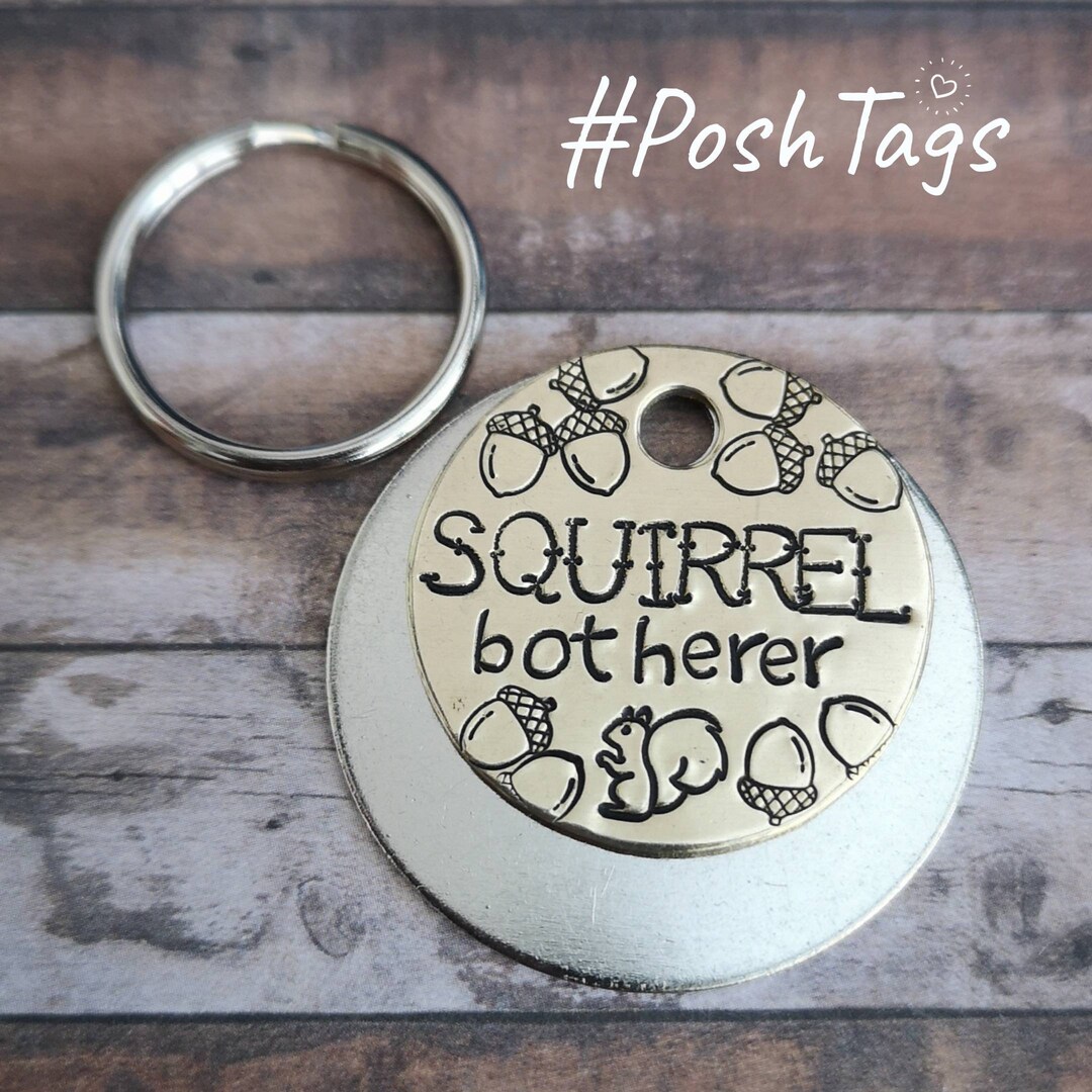 Squirrel Botherer - Acorns - Funny Cat Dog Tag Pet Tag ID #poshtags ...