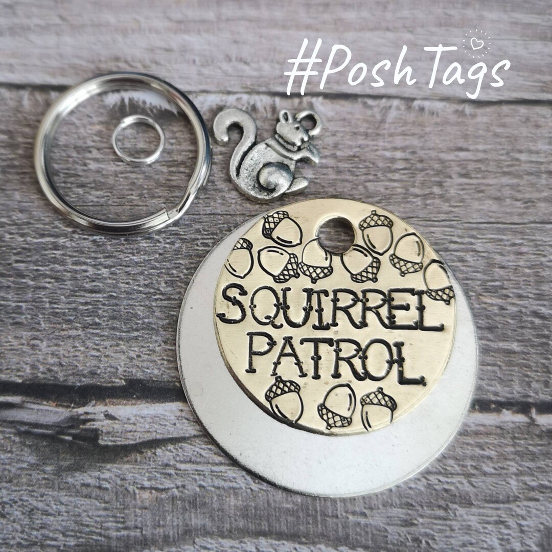Squirrel Patrol - Acorns - Funny Cat Dog Tag Pet Tag ID #poshtags ...