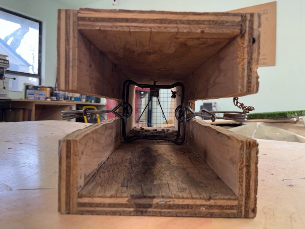 Conibear Squirrel Trap Box Plans - Etsy