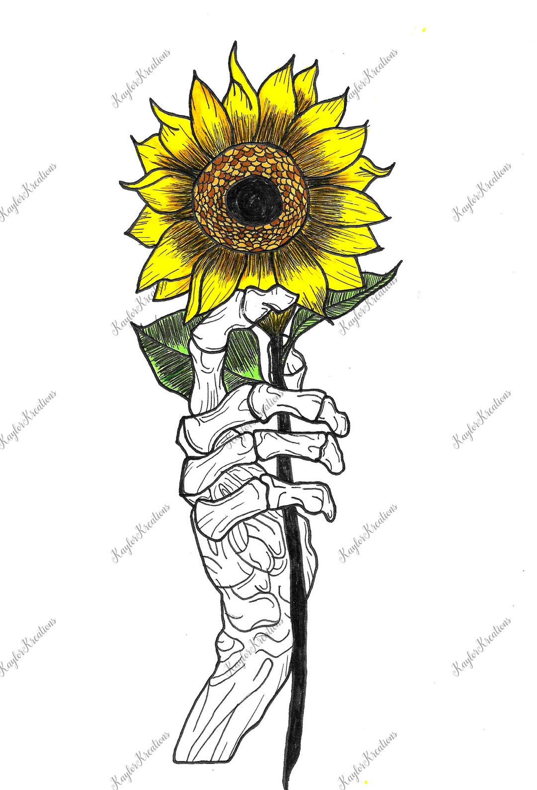 Sunflower Skull, Skeleton Hand, Pen and Ink Illustration - Etsy