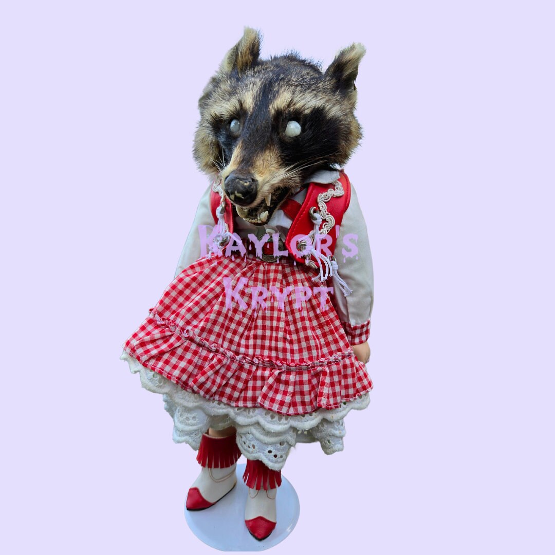 Raccoon Taxidermy, Cowgirl Raccoon, Country Girl, Art Doll, Porcelain ...