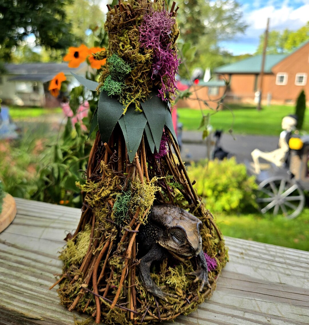 Taxidermy Toad in Hut, Moss, Home Decor - Etsy