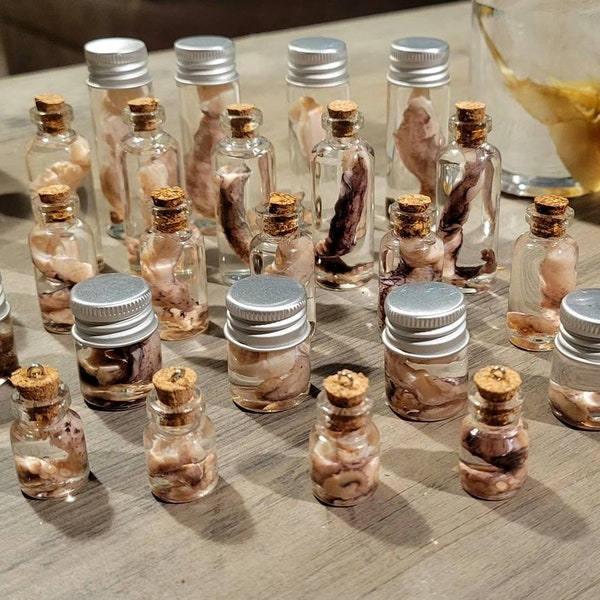 Wet Specimens - Etsy