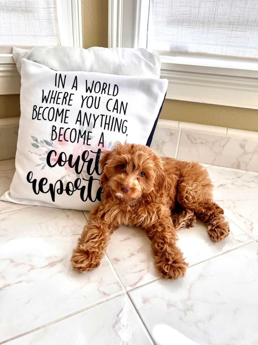 Court Reporter Pillow: Inspirational Stenographer Gift - Etsy