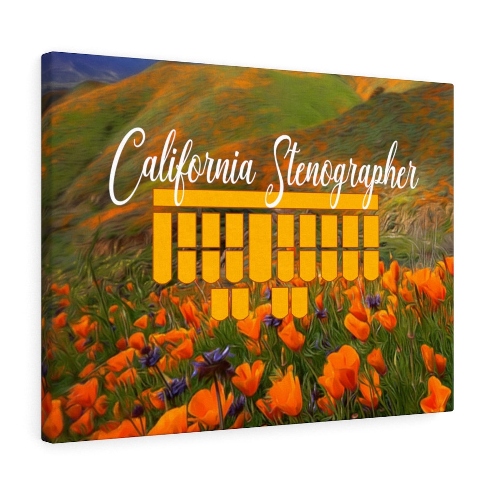 California Stenographer, Steno Key Art, Court Reporter Canvas Gallery ...