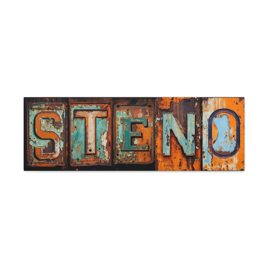 Steno Art License Plate Graphic 36x12, Court Reporter Gift ...
