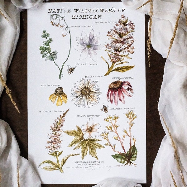 Native Wildflowers - Etsy