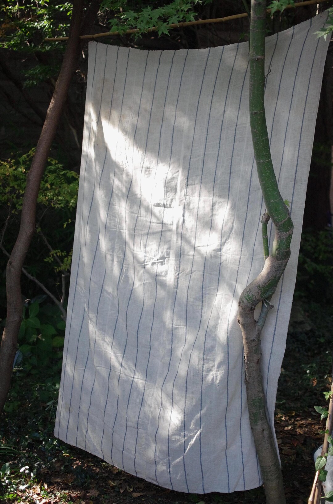 A White Cotton Mosquito Net Cloth With Indigo Stripes From Around the ...