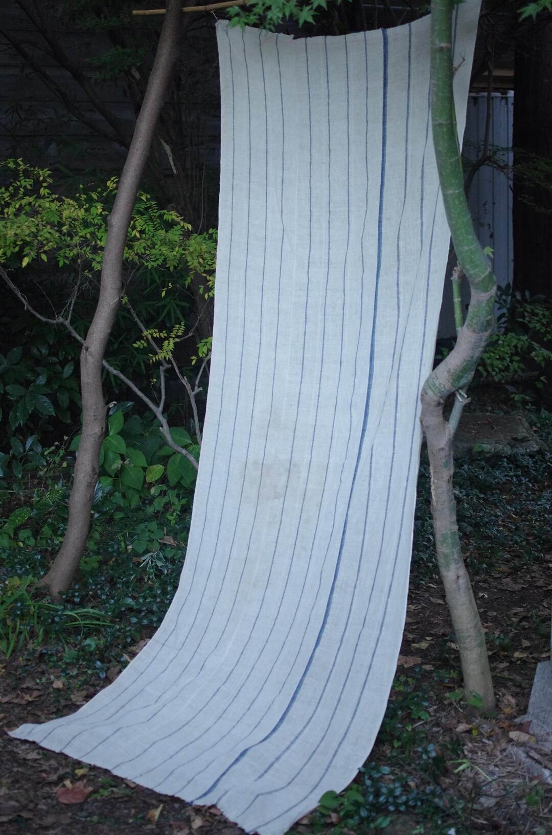 A White Cotton Long Mosquito Net Cloth With Indigo Stripes From Around ...
