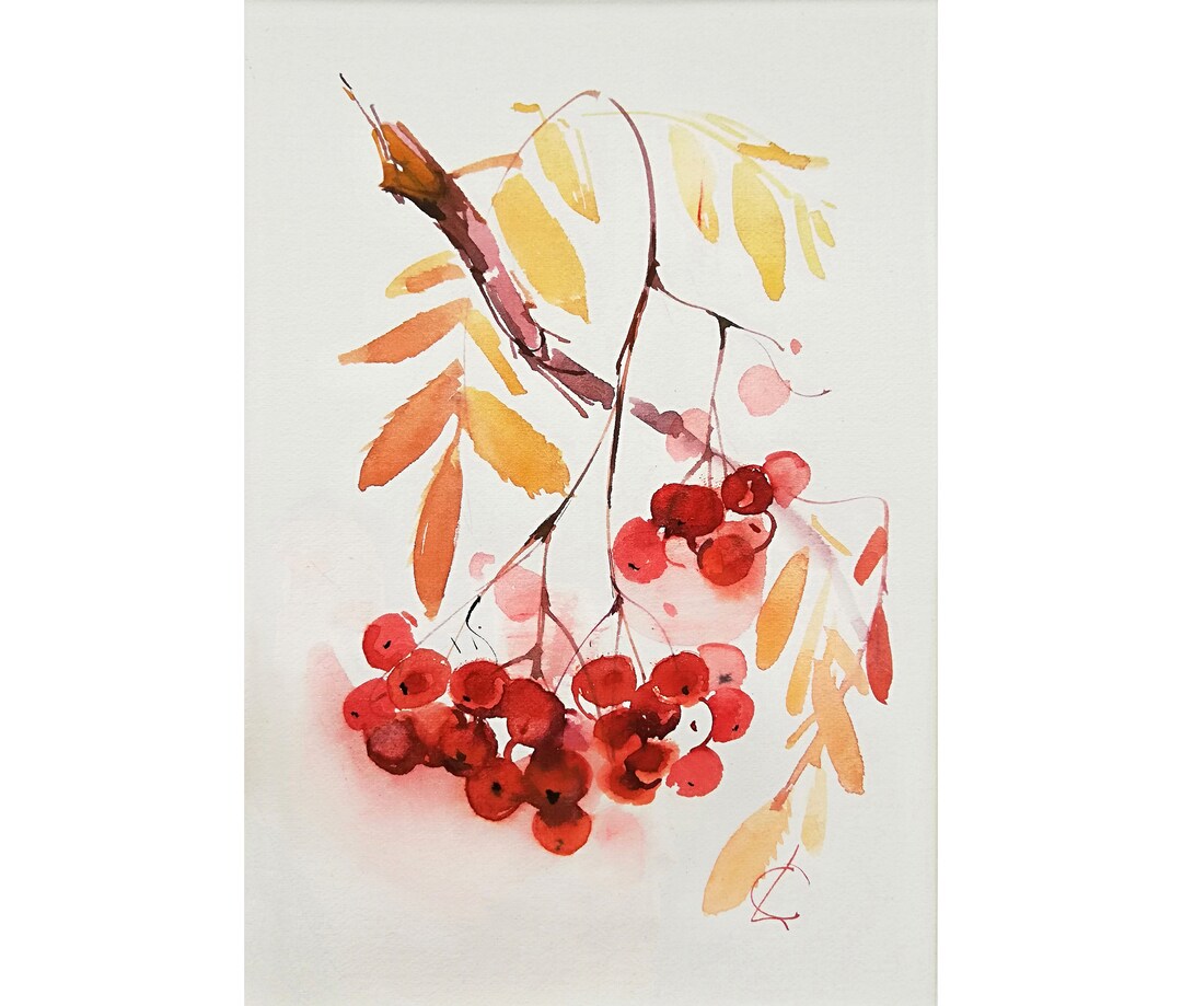 Original Watercolor Art Painting Watercolor Red Rowan Painting Original ...