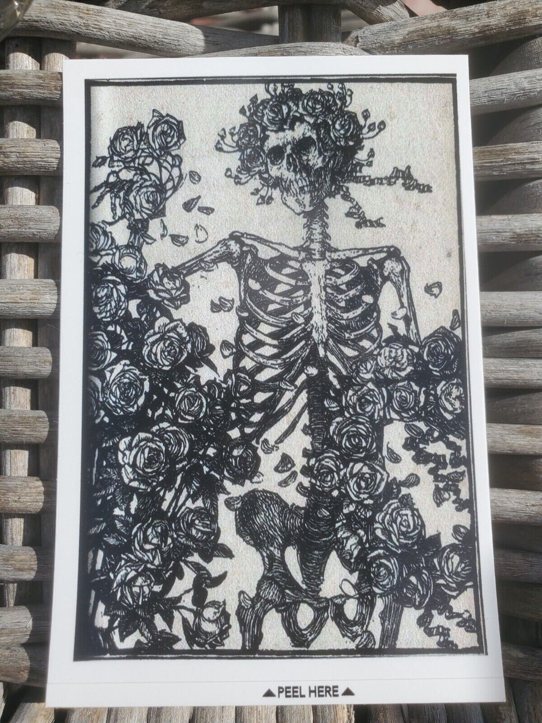 Skeleton and Roses Stickers ,image Used by Stanley Mouse for the ...