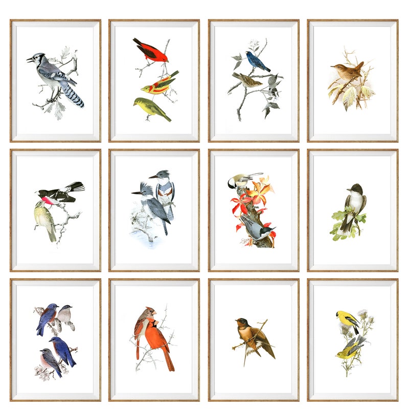 thewonderwallprints - Etsy