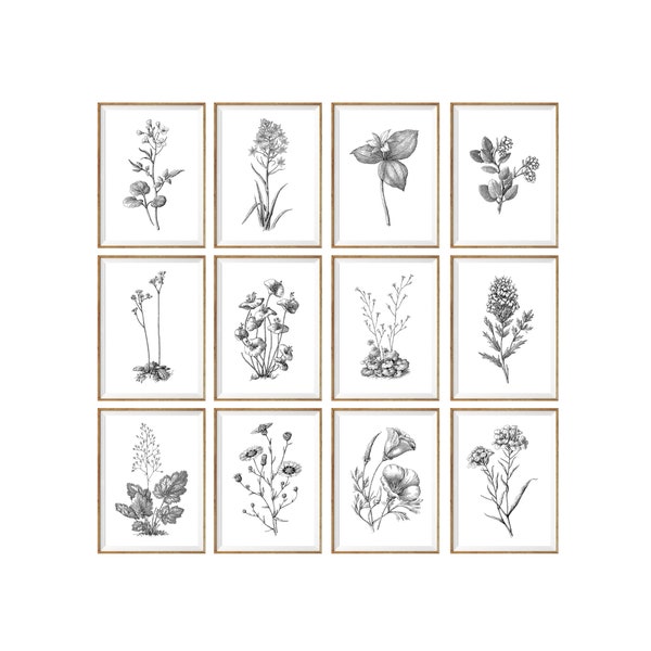 Printable Black Botanical - Etsy