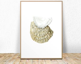 Wall art seashell | Etsy