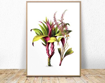 Plant art | Etsy