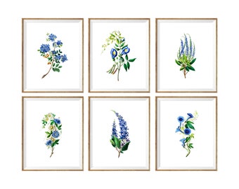 8x10 flower print | Etsy