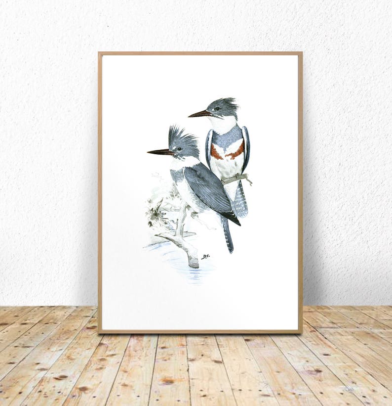 Bird Art Print Bird Art Printable Belted Kingfisher Bird - Etsy