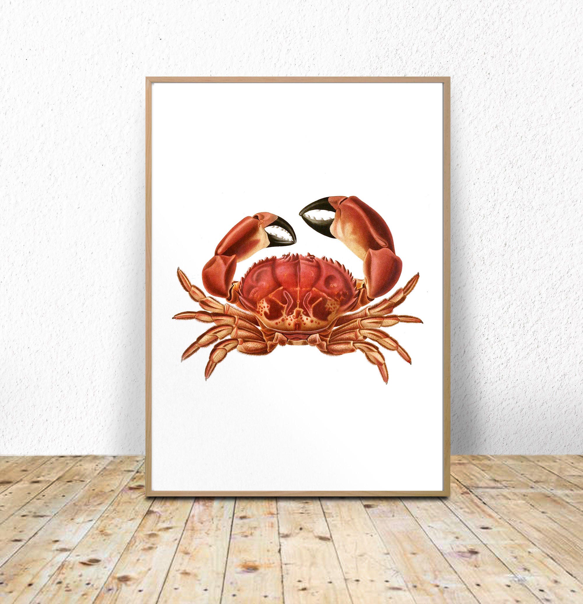 Crab Printable Crab Wall Art Red Crab Crab Poster Instant | Etsy