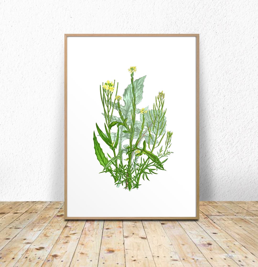 Bouquet Art Print, Flower Bunch Print, Wild Flowers Print, Botanical ...