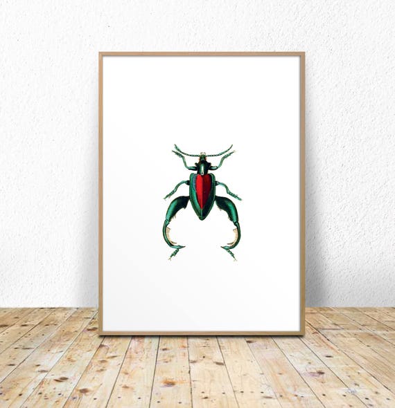 Beetle art print beetle instant art beetle wall art 11x14 | Etsy