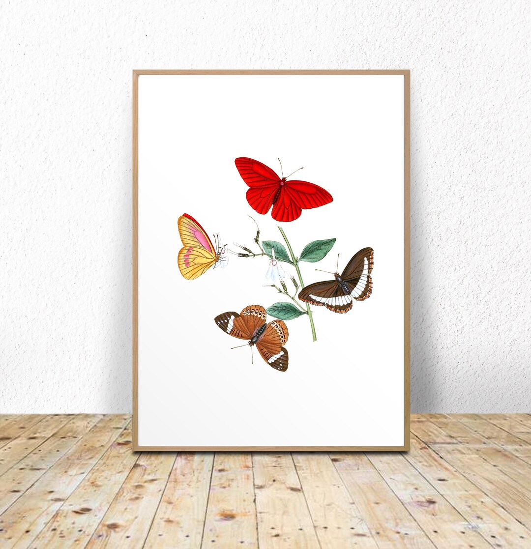 Butterfly Print, Butterfly Poster, Butterfly Wall Art, Butterfly ...