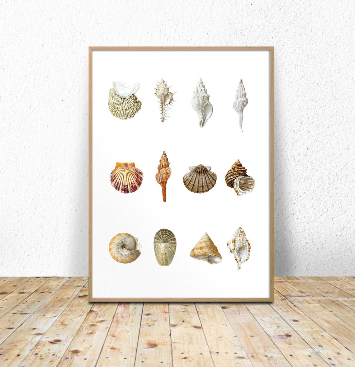Seashell Chart Print Seashell printable seashells poster | Etsy