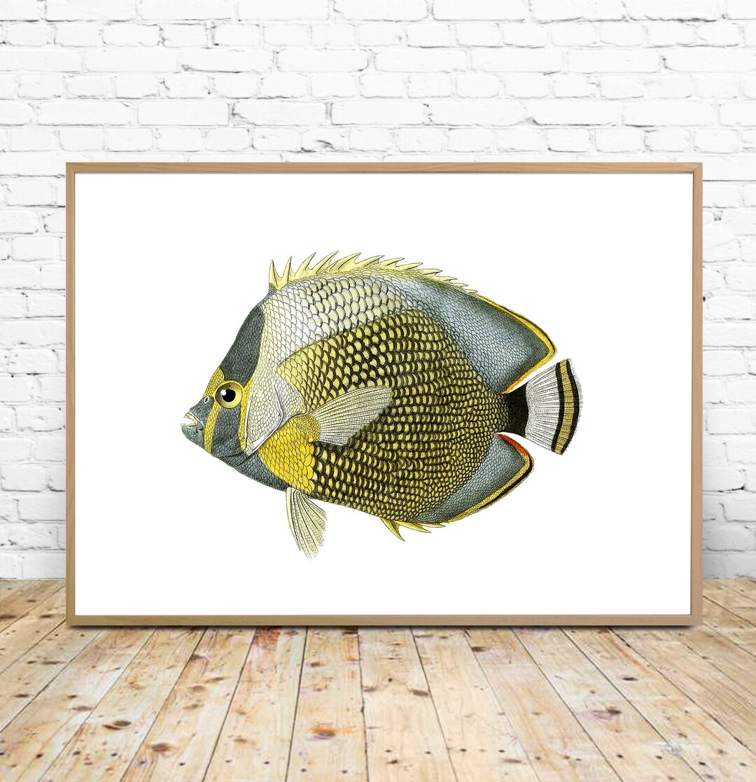 Fish Art Print, Fish Printable, Fish Wall Art, Red Fish, Pisces ...