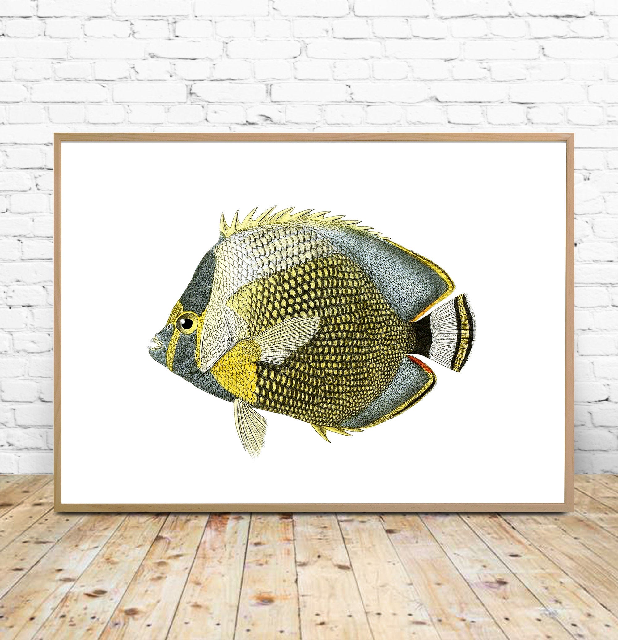 Fish Art Print Fish Printable Fish Wall art red fish | Etsy