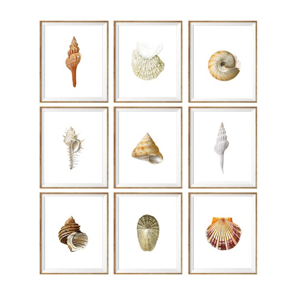 Coastal Printables - Etsy