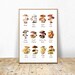 Mushroom Chart Poster, Digital Download, Printable, Instant Art ...