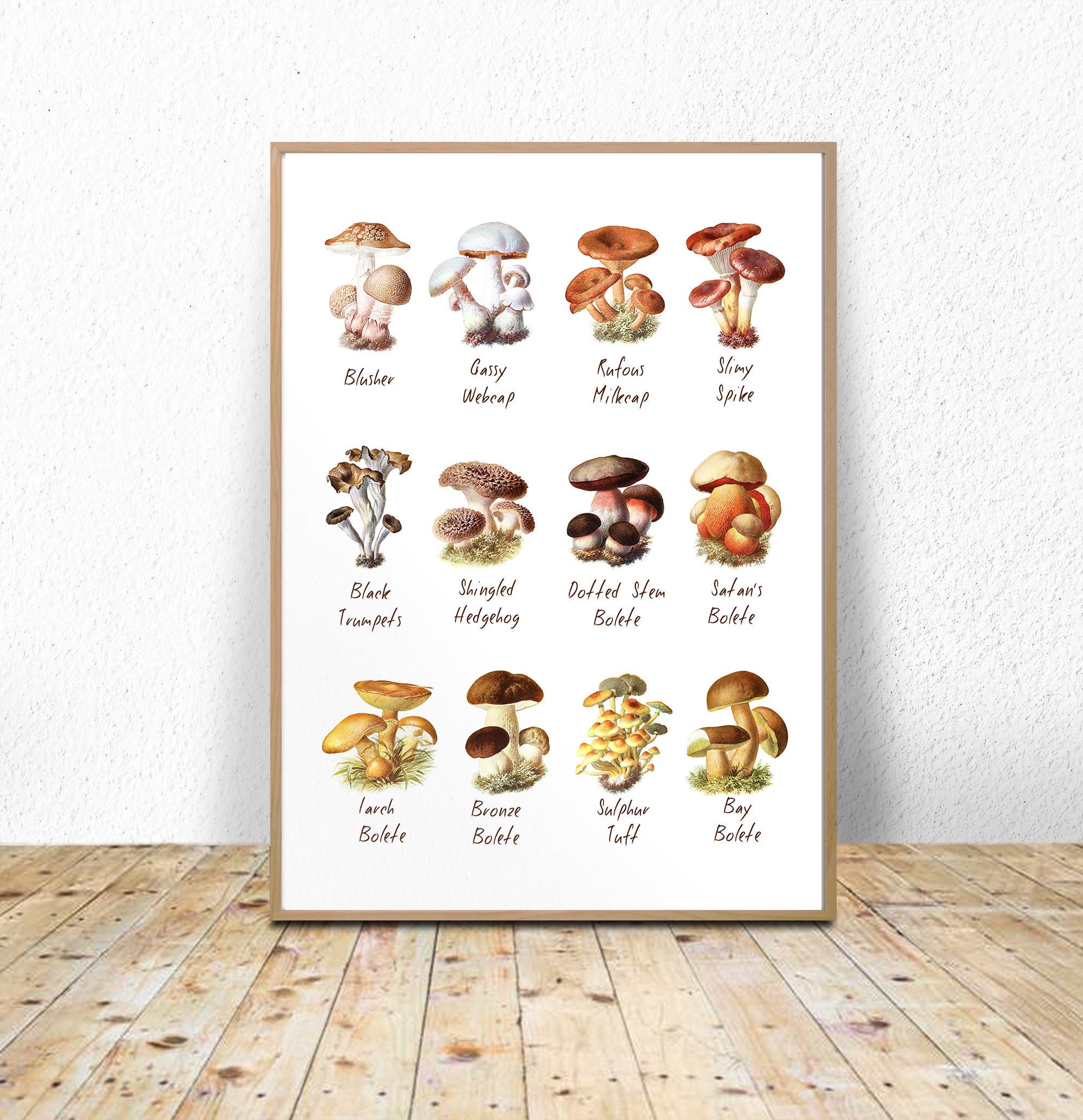 Mushroom Chart Poster Digital Download Printable Instant | Etsy