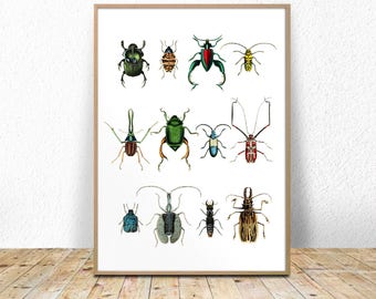 Insect print | Etsy
