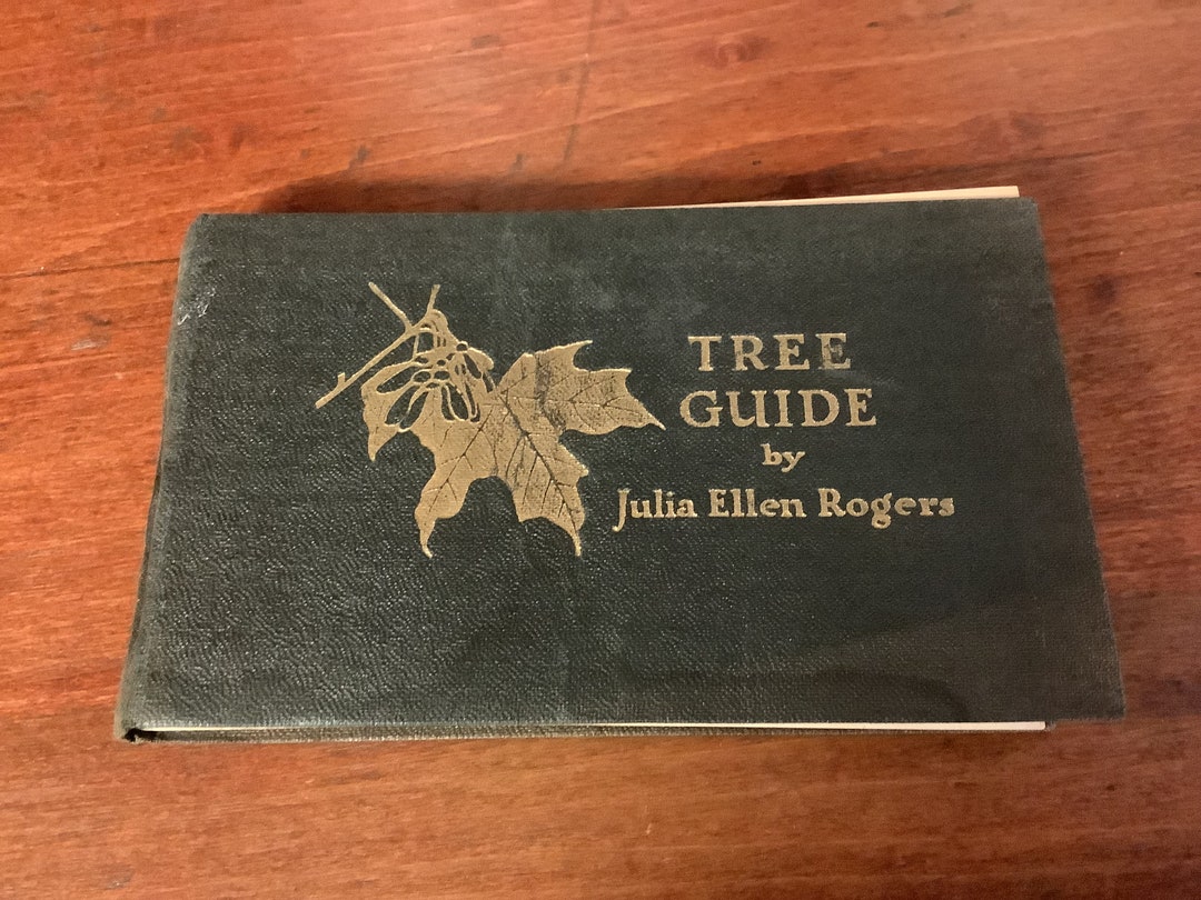 Antique 1926 Tree Guide by Julia Ellen Rogers/trees East of the Rockies ...