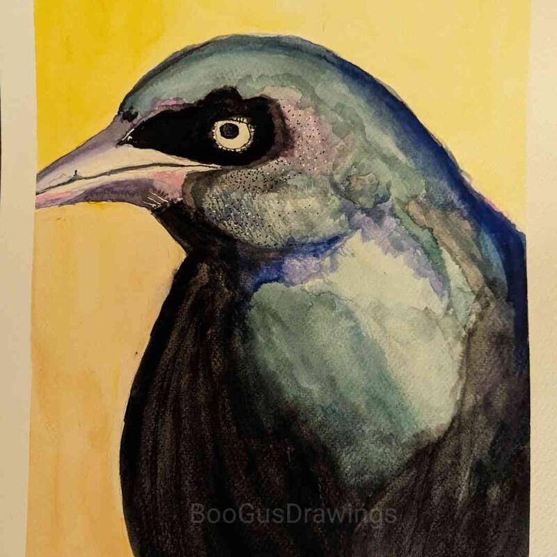 Grackle Painting - Etsy