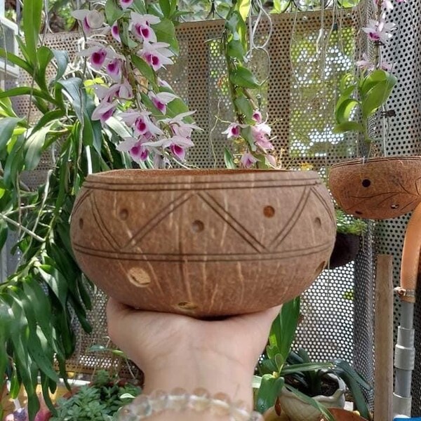 Coconut Shell - Etsy