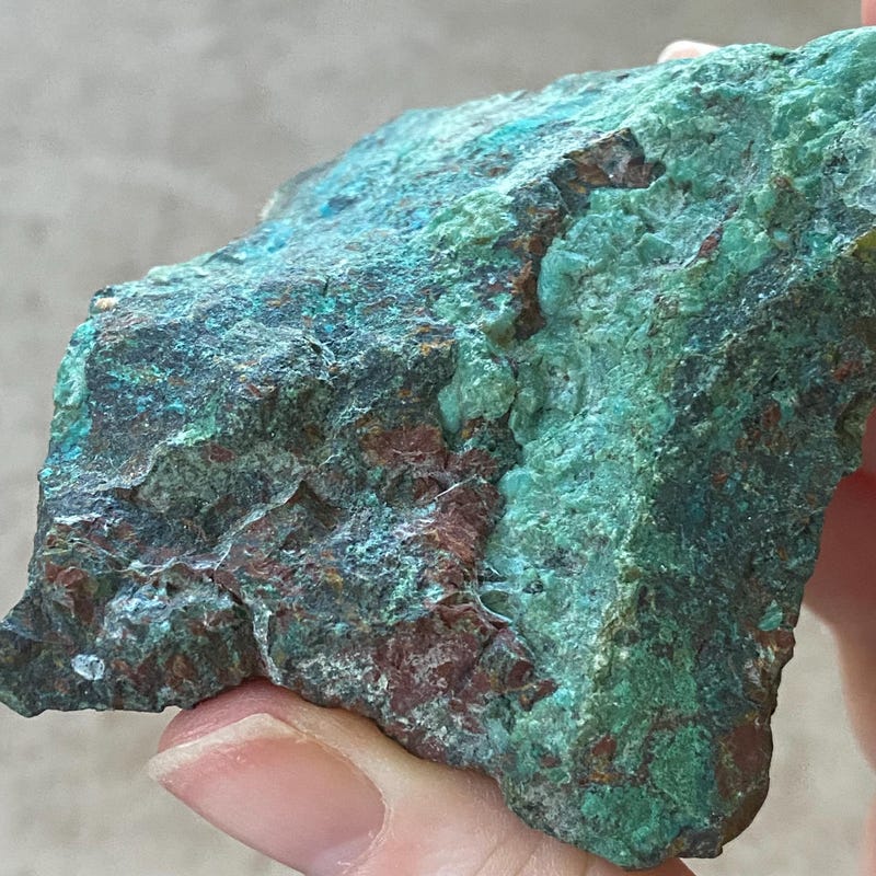 BeastsOfTheWildwood - Etsy