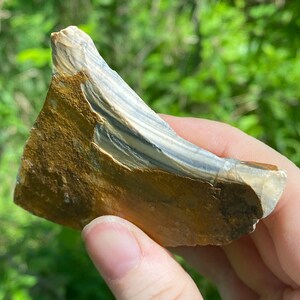 OHIO FLINT RIDGE Rough 105 Grams - Etsy