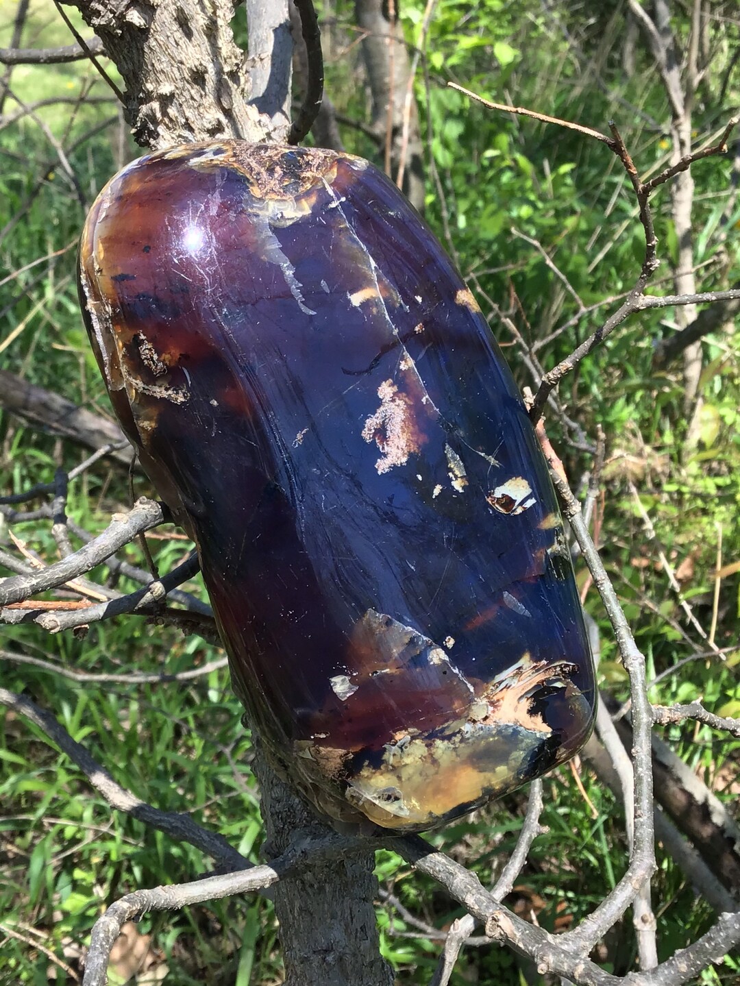 INDONESIAN AMBER, Large Crystal, Half Polished, Red Amber, Sumatra ...