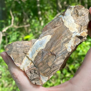 OHIO FLINT RIDGE Rough 152 Grams - Etsy