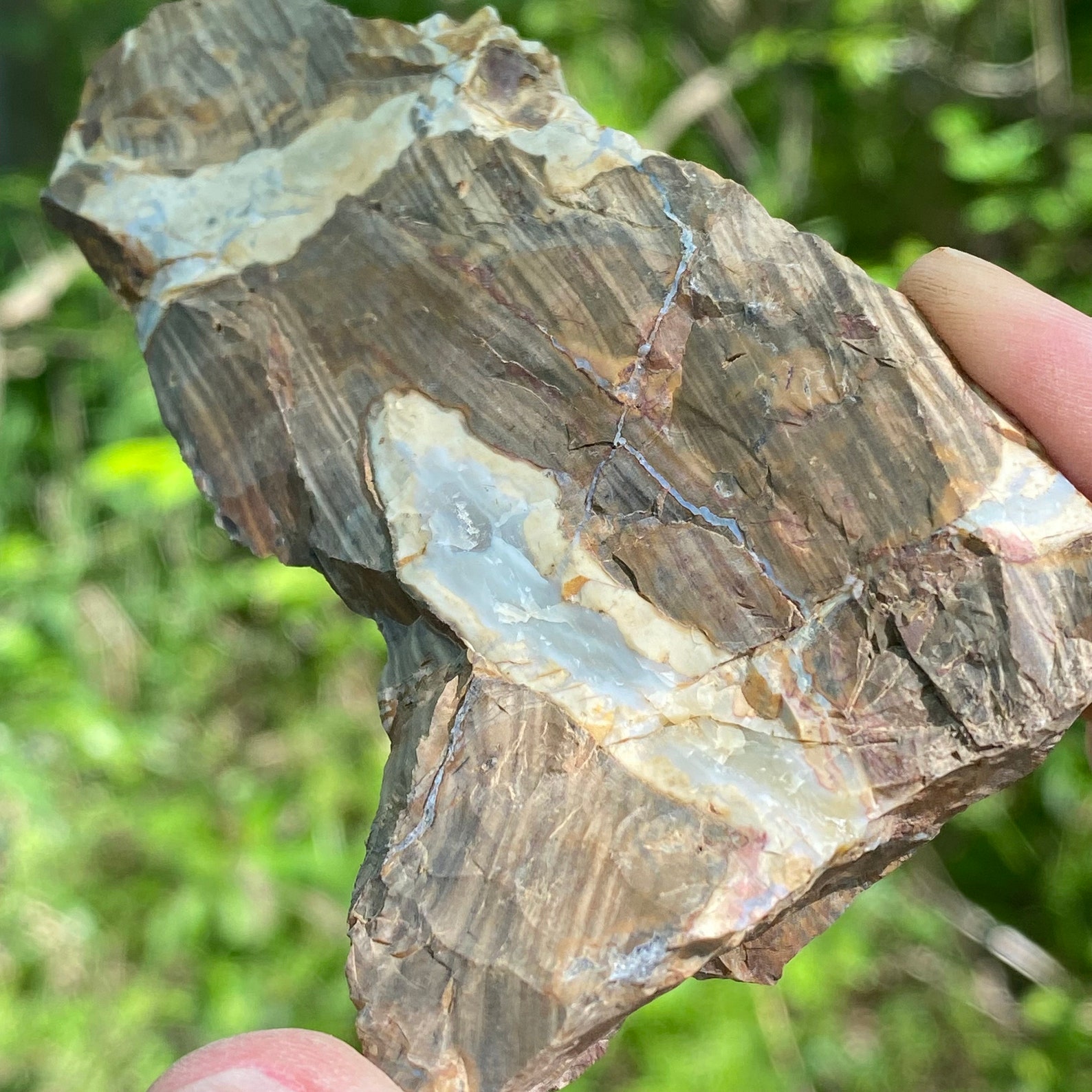 OHIO FLINT RIDGE Rough 152 Grams - Etsy
