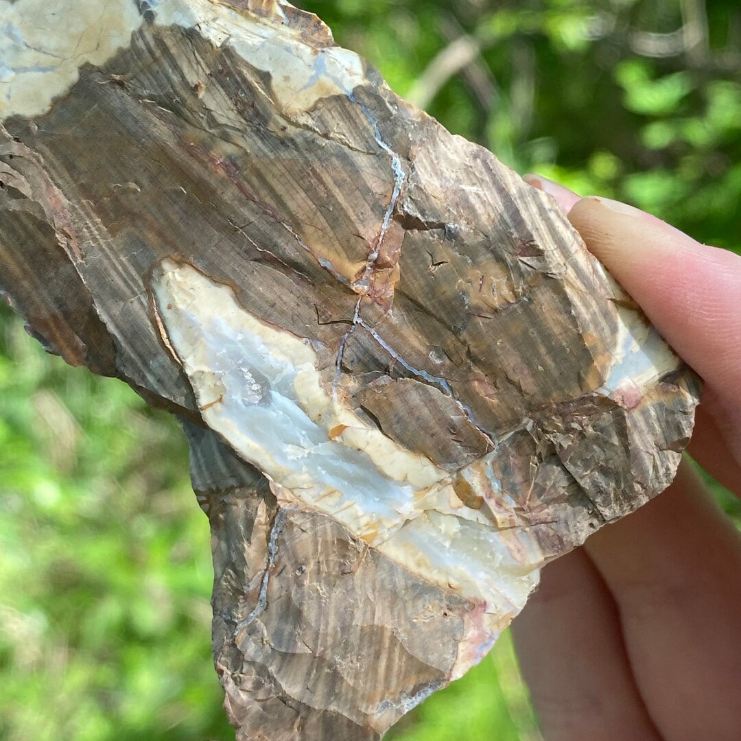 OHIO FLINT RIDGE Rough 152 Grams - Etsy