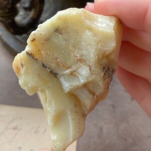 YELLOW POTCH OPAL Raw, Rough Common Opal Australia - Etsy