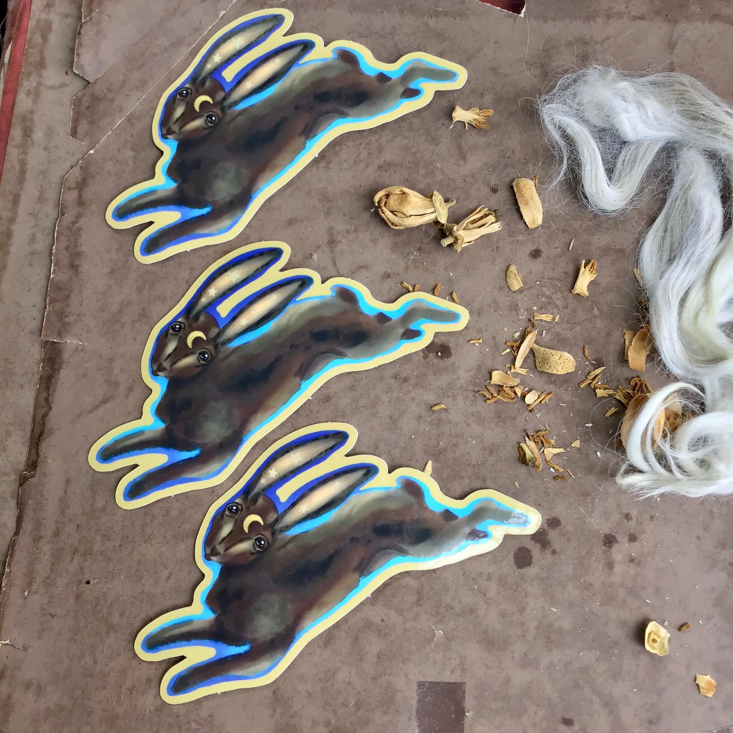 Moon Hare Vinyl Sticker Metaphysical Sticker Pagan Sticker - Etsy