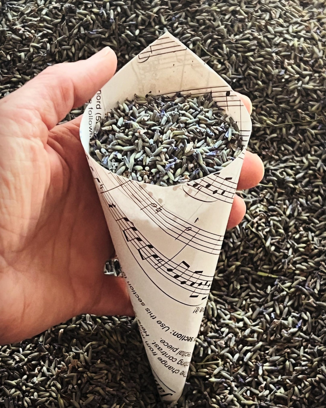 Bulk Dried French Lavender Buds: Highly Scented, Wedding Toss, Crafts ...