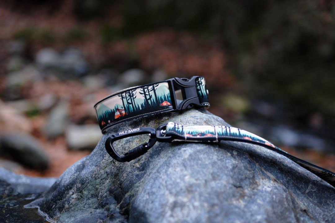 Camp Life Dog Collar,adventure Dog Collar, Camping Dog Collar, Campfire ...