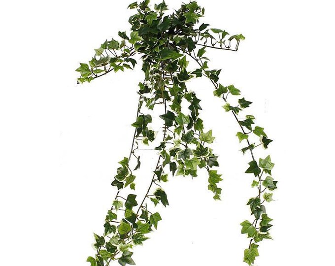 36" Artificial Needlepoint Mini Ivy Plant/hanging Bush/vine in ...