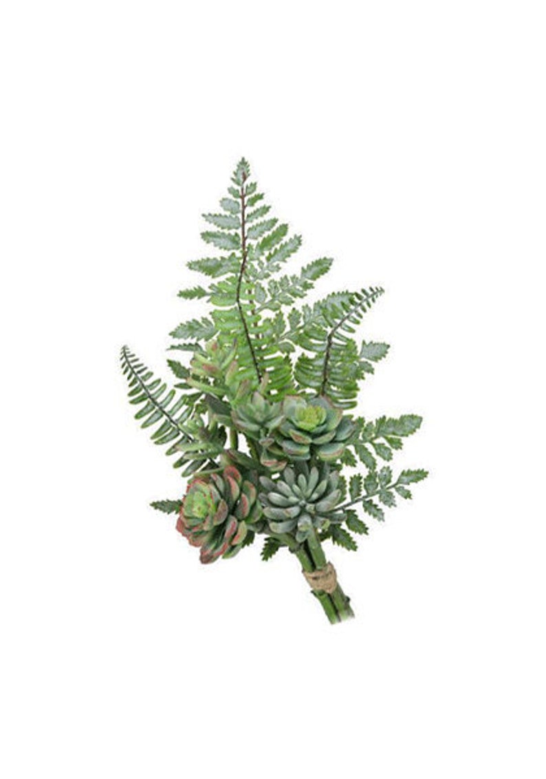 15" Artificial Mixed Fern & Succulent Greenery Bush/spray/bouquet ...