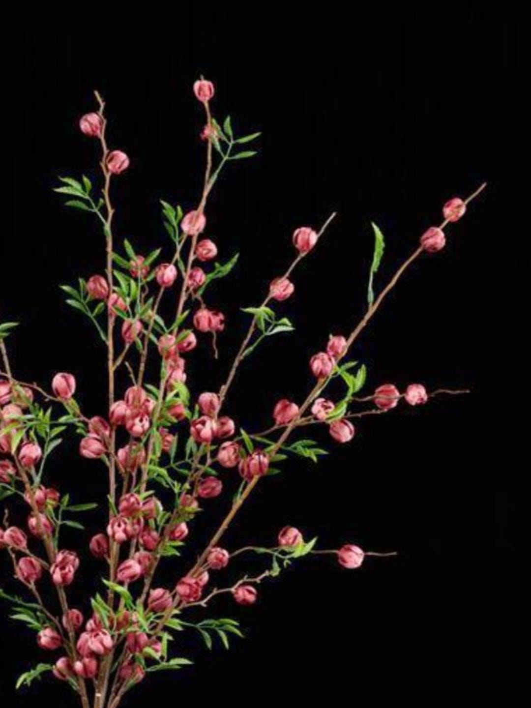 23" Faux Budding Flower Branch Stems - Etsy