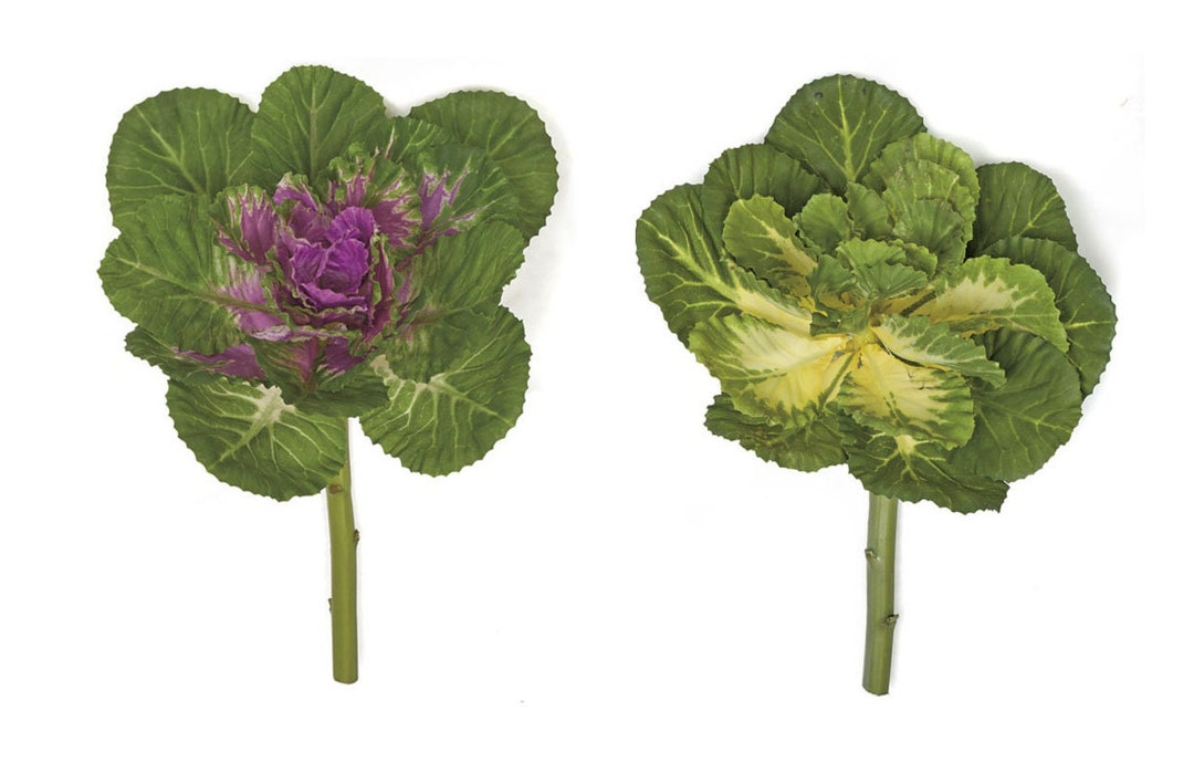 Artificial Kale, Faux Vegetable, Kitchen Decor, Planters, Table ...