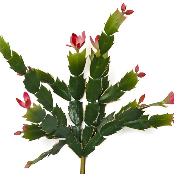 Artificial Christmas Cactus - Etsy